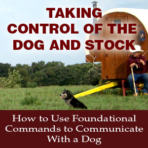 Taking Control of the Dog and Stock - Twin Creek Herding and ...